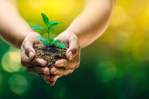 GO GREEN PRODUCTS – Giftwrap UK